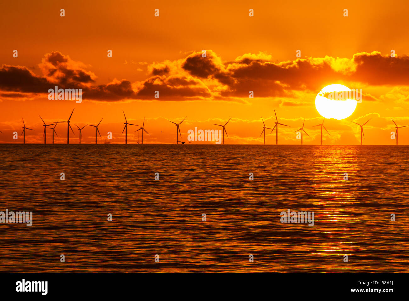 Walney wind hi-res stock photography and images - Alamy