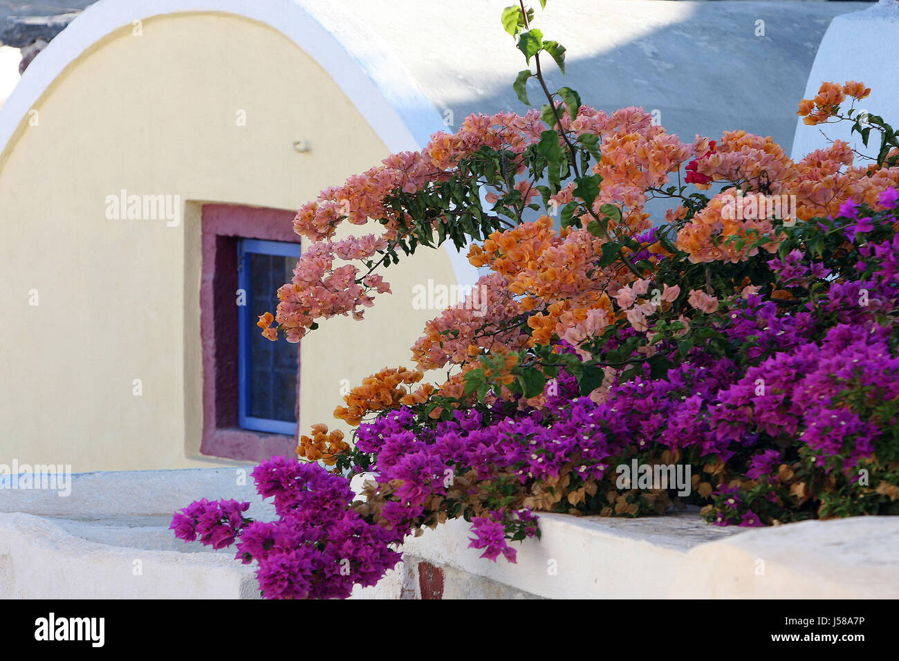 Finikia hi-res stock photography and images - Alamy