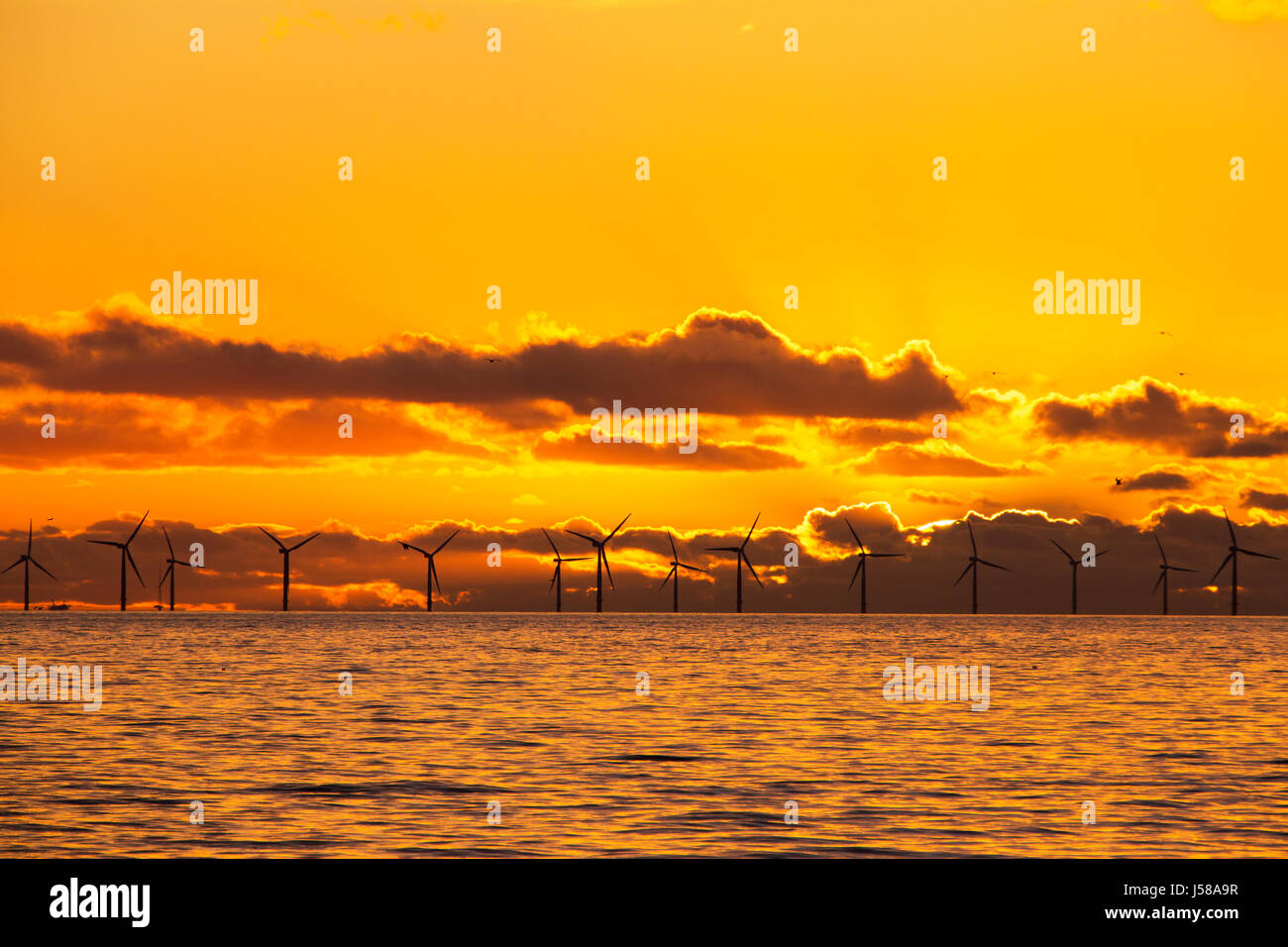 Wind farm in morecambe bay hi-res stock photography and images - Alamy