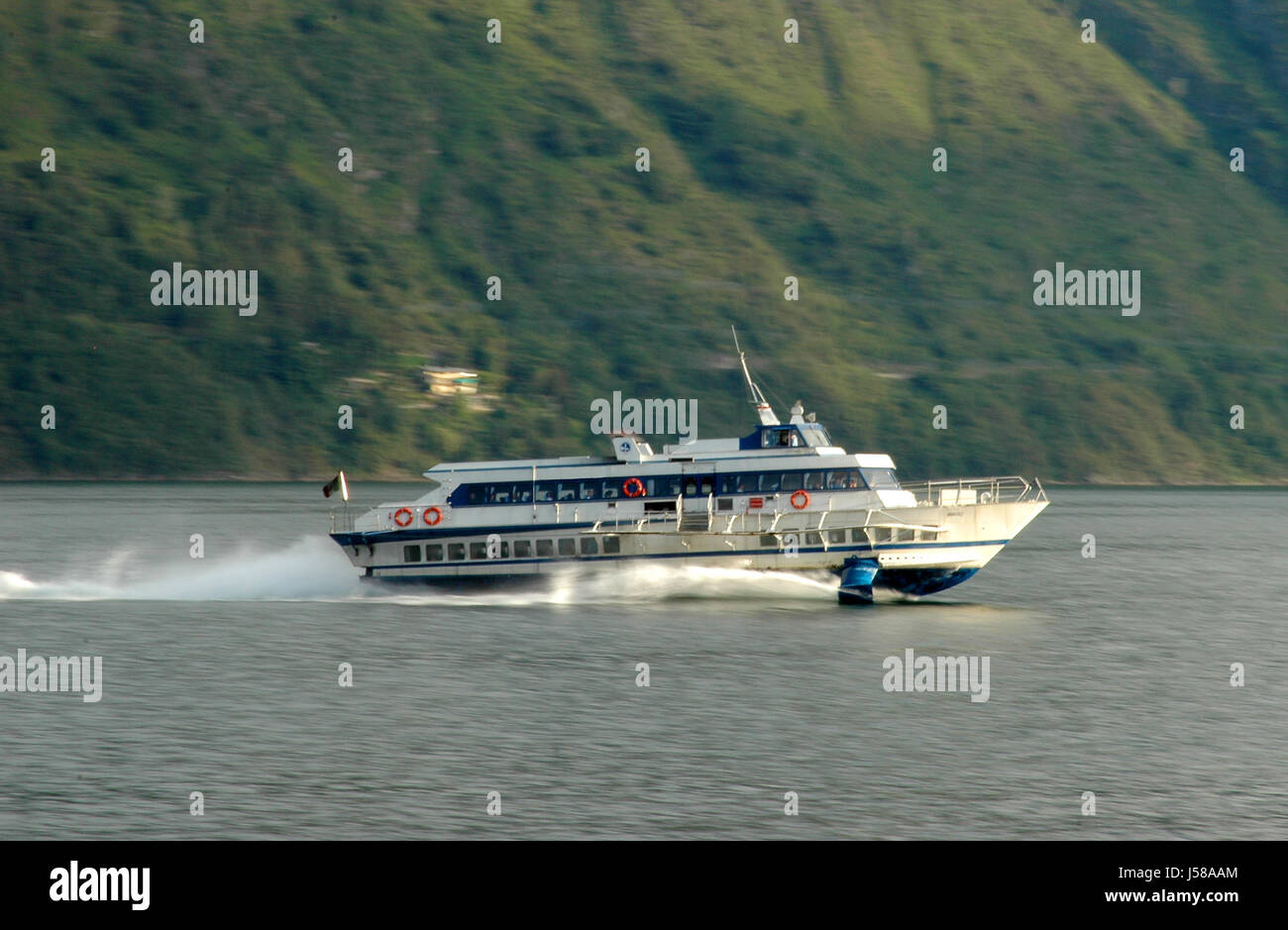 wing spray rapidity speedboat salt water sea ocean water swimming ...