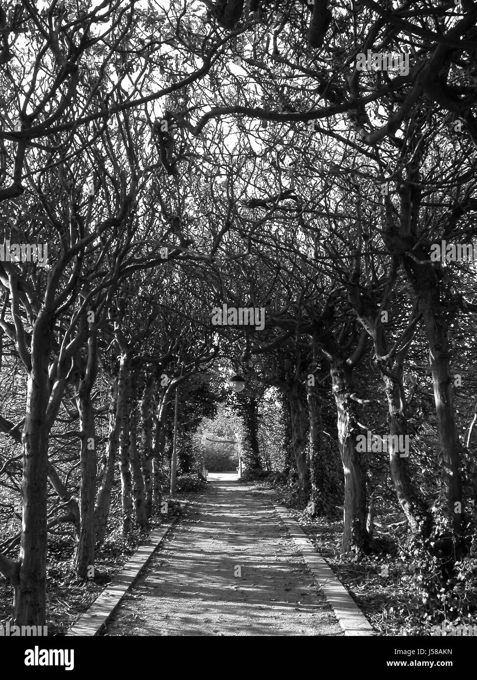 the path into the unknown Stock Photo - Alamy