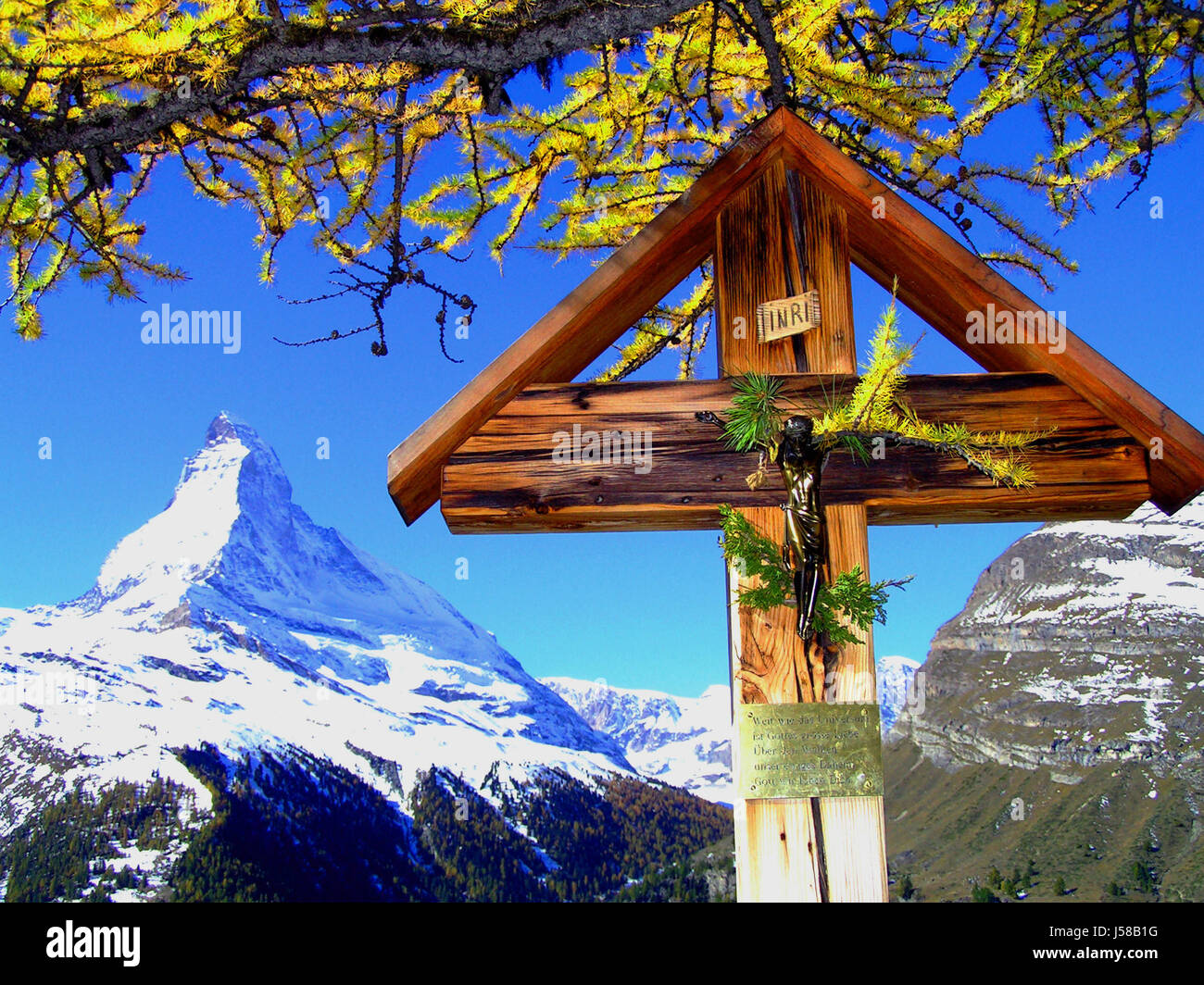 belief tree trees alps cross switzerland valais larch matterhorn ...