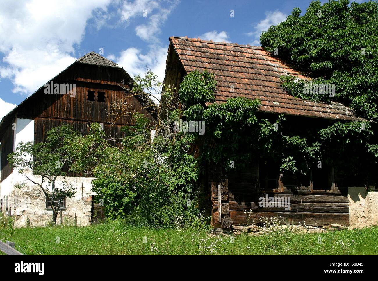 house home dwelling house residential building building austrians ...