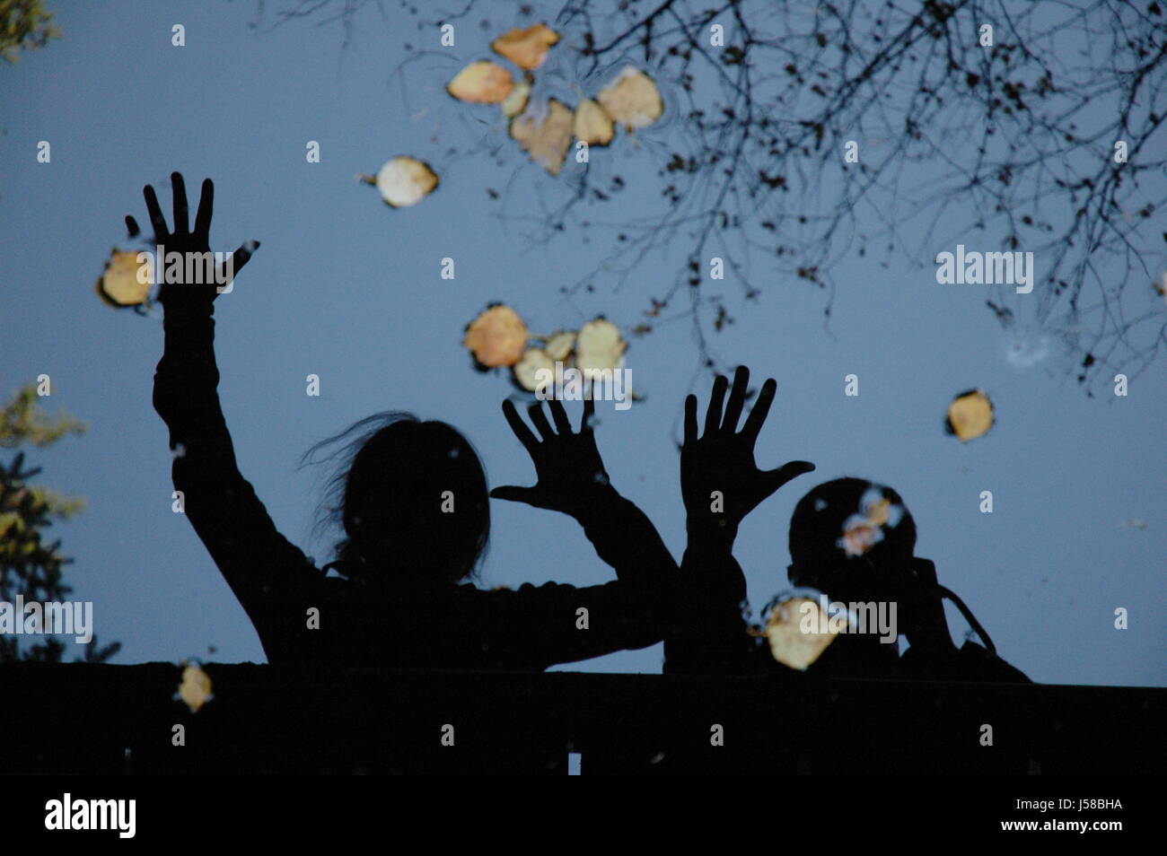 mirroring silhouette outline fresh water pond water shaddow shadow ...