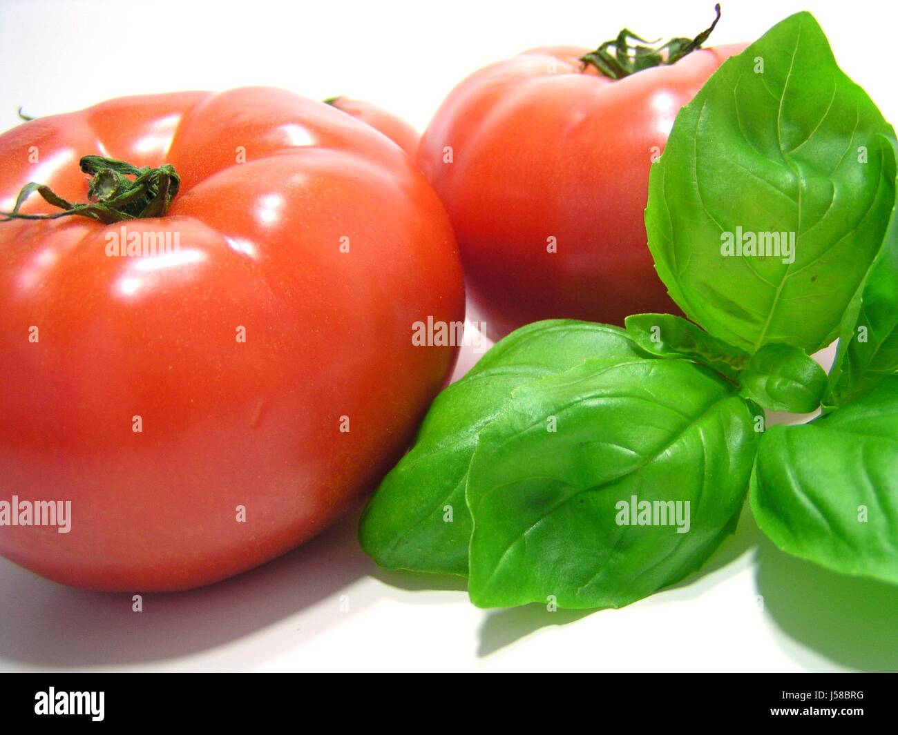 basil branch against tomato Stock Photo - Alamy