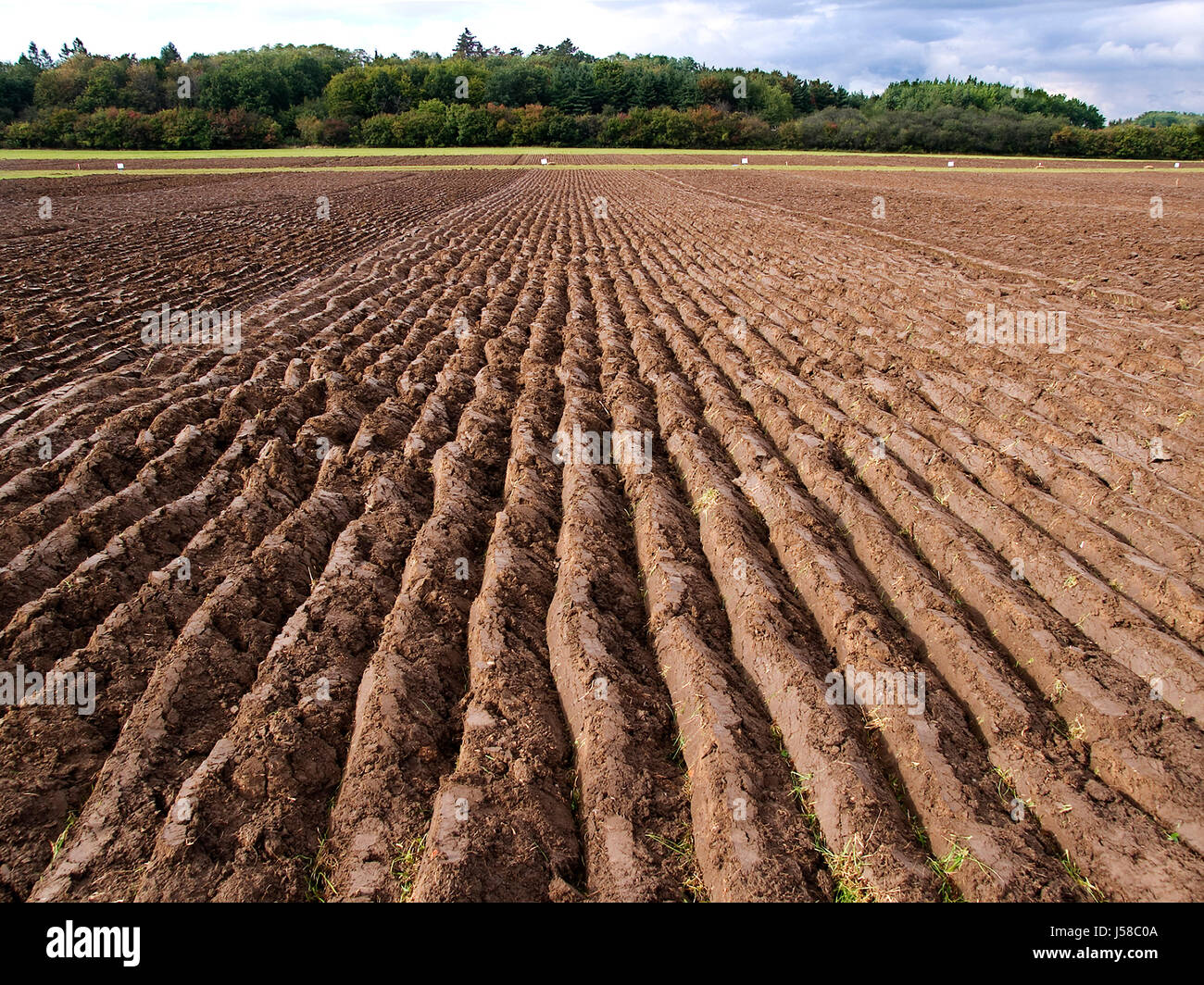 Geackert hi-res stock photography and images - Alamy