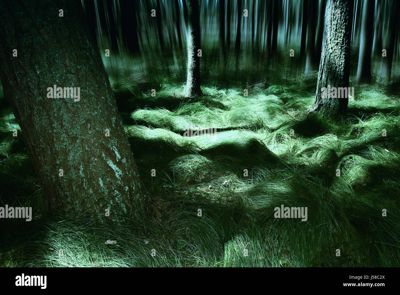 Finsterwald hi-res stock photography and images - Alamy