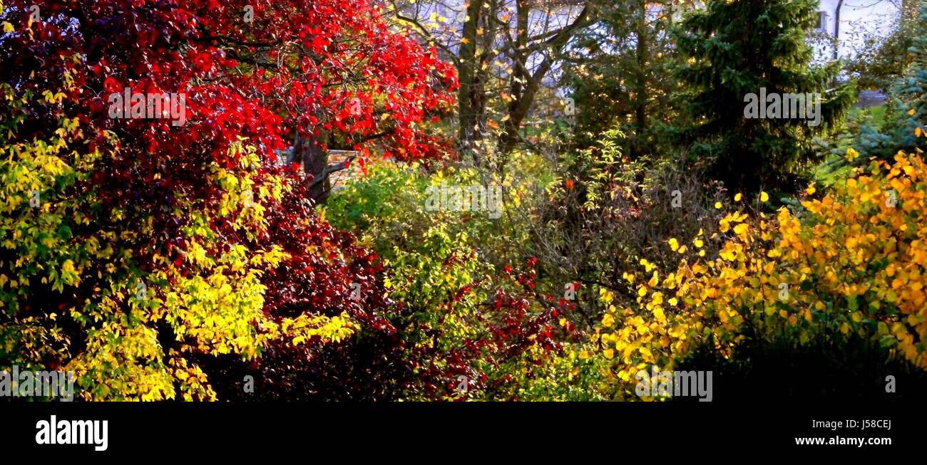 Last picture hi-res stock photography and images - Alamy