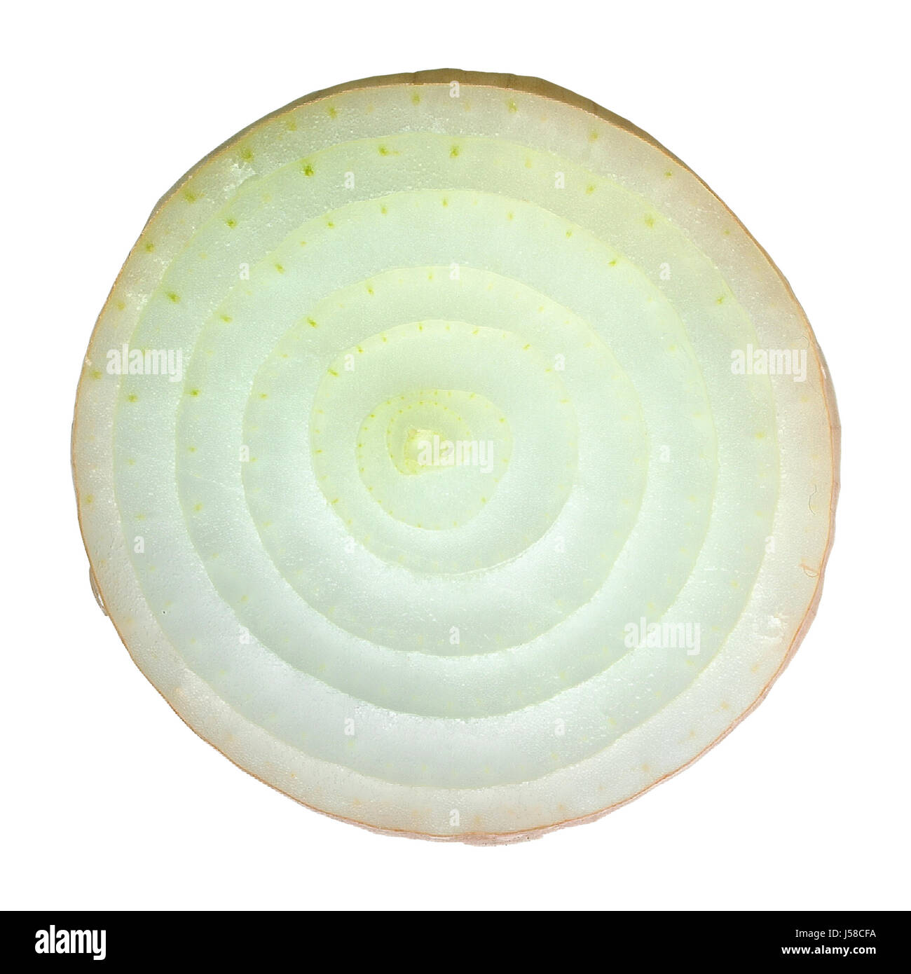 onion slice ii Stock Photo - Alamy