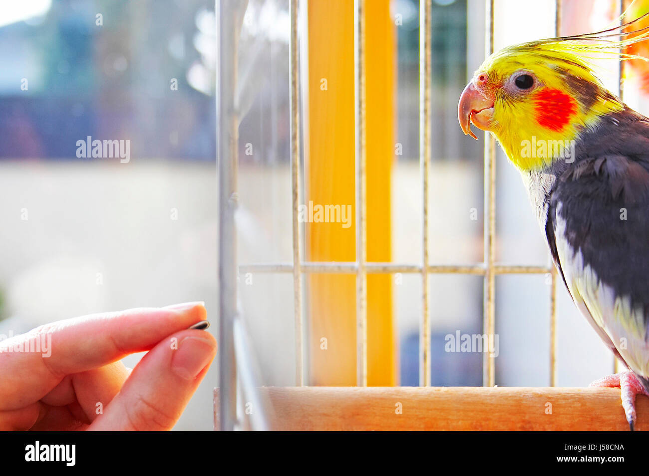 one after the other Stock Photo - Alamy