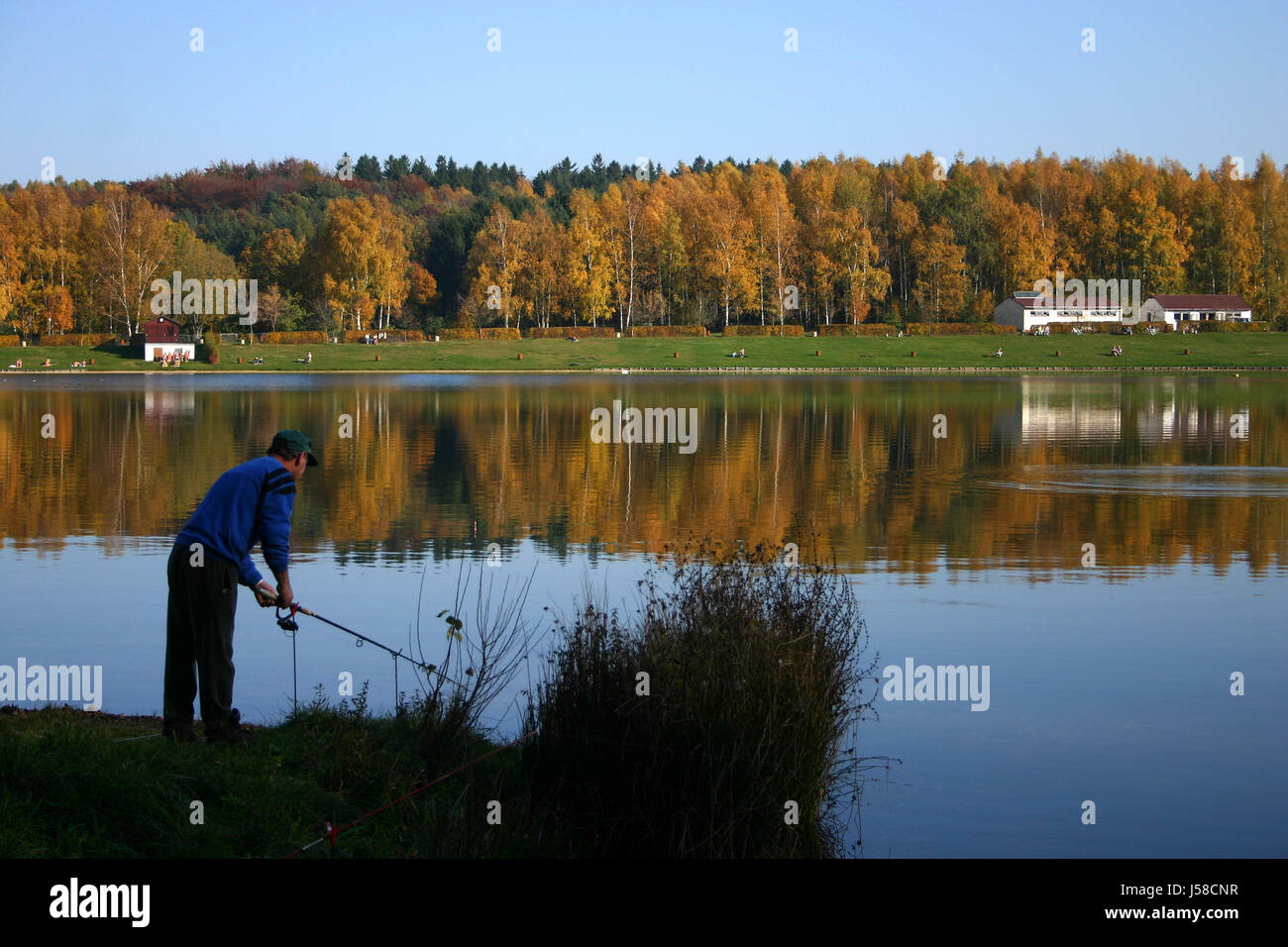 Herbststag hi-res stock photography and images - Alamy