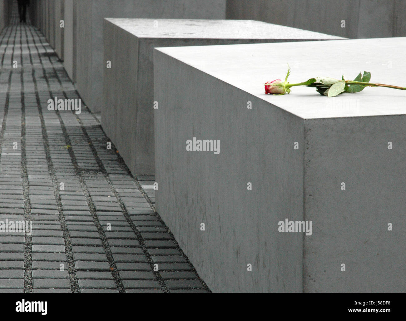 monument stone diagonal concrete berlin row convergence point geometry ...