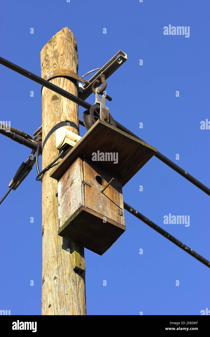 blue house building bird birds energy power electricity electric power ...