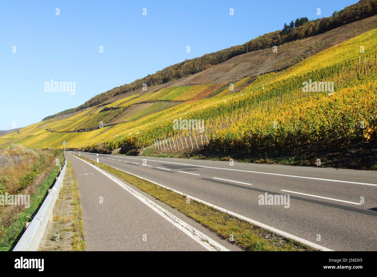 blue vineyards emptiness void cultivation of wine vineyard vines ...