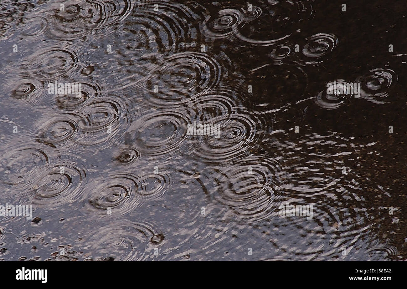 raindrop asphalt puddle rain rainy day water weather drop drip drops ...