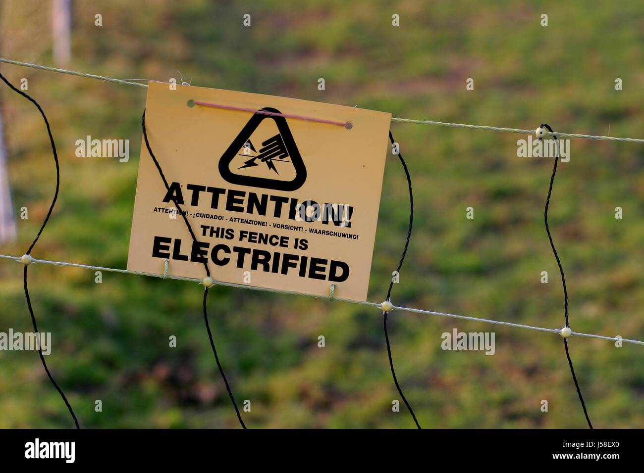 danger symbolic animals agriculture farming field energy power ...