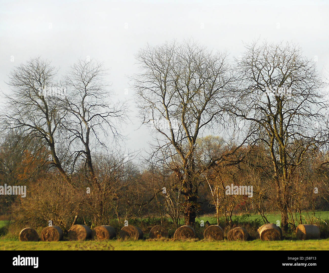 Transitions hi-res stock photography and images - Alamy