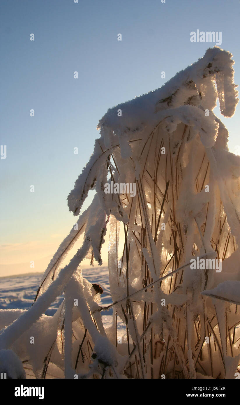 blue cold ice counter-light frozen freeze firmament sky snow mountain ...