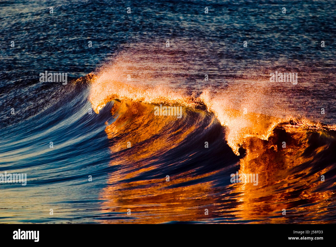 water north sea salt water sea ocean denmark golden wave roll spray rolls Stock Photo - Alamy
