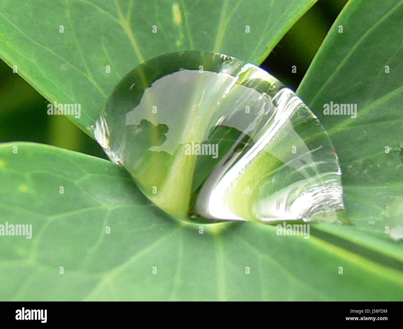 trapped in the mirror drops Stock Photo - Alamy