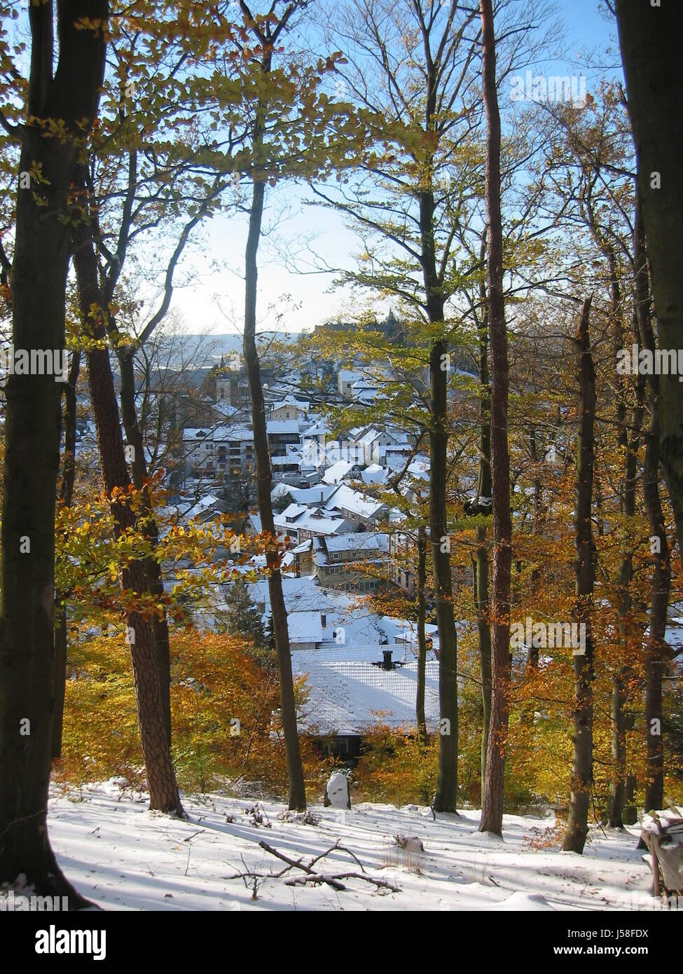 city town tree trees sight view outlook perspective vista panorama ...