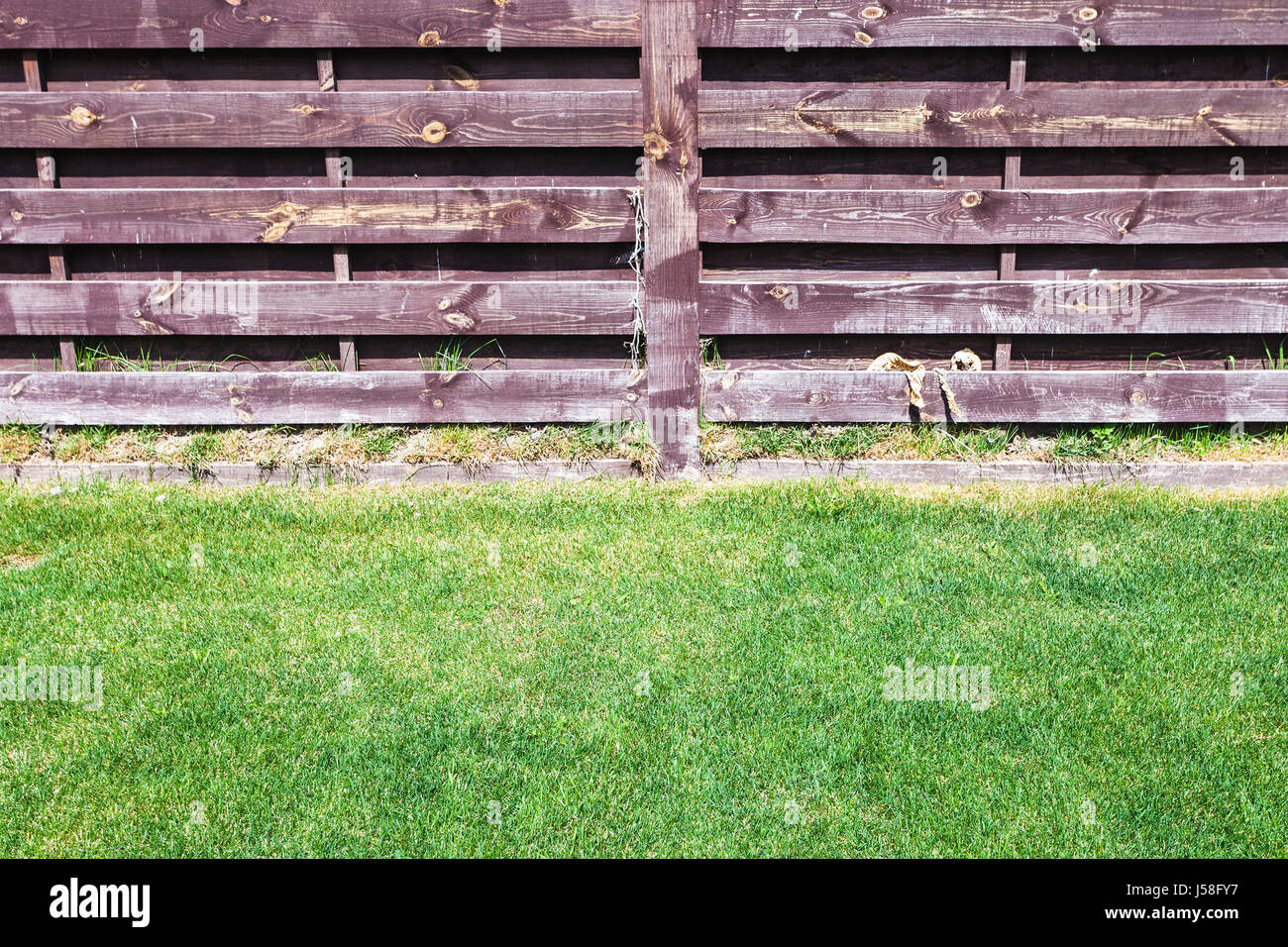 clipped lawn near wooden fence on backyard of country house Stock Photo ...