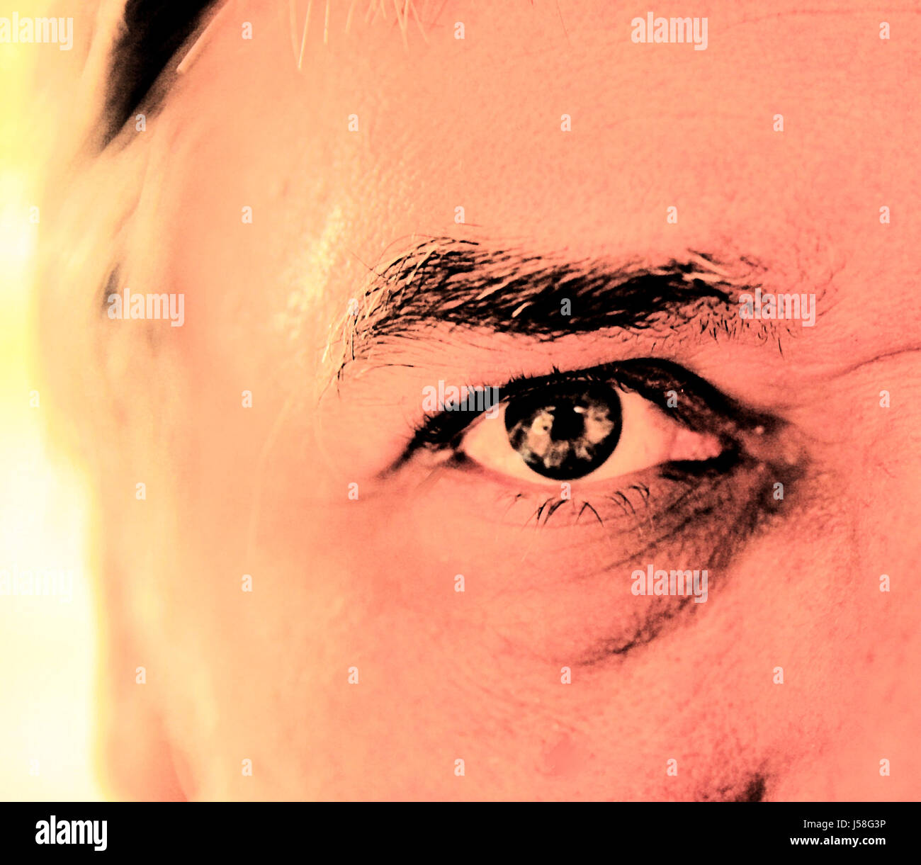 2 eyebrows hi-res stock photography and images - Alamy