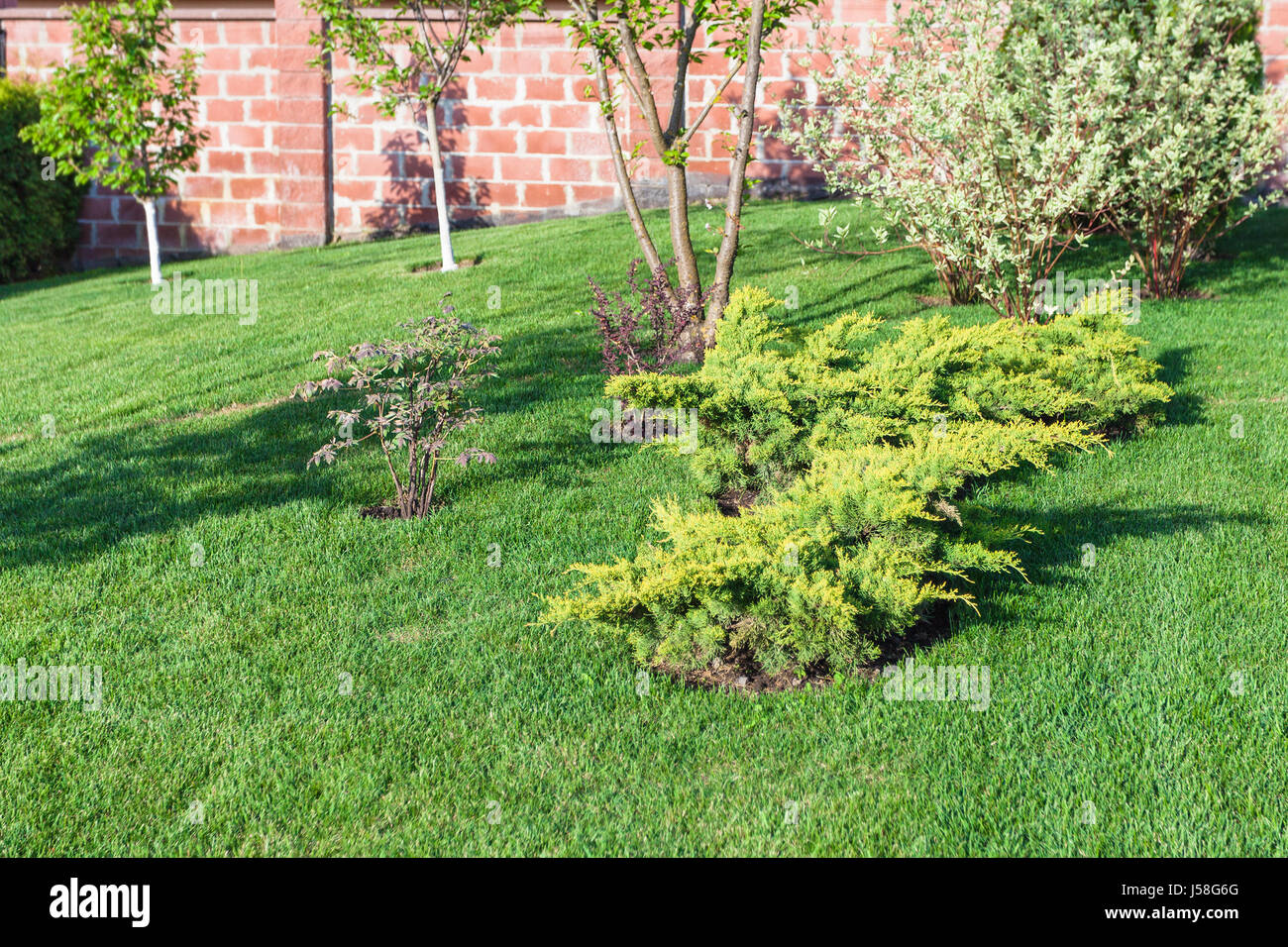 Manicured bushes hi-res stock photography and images - Alamy