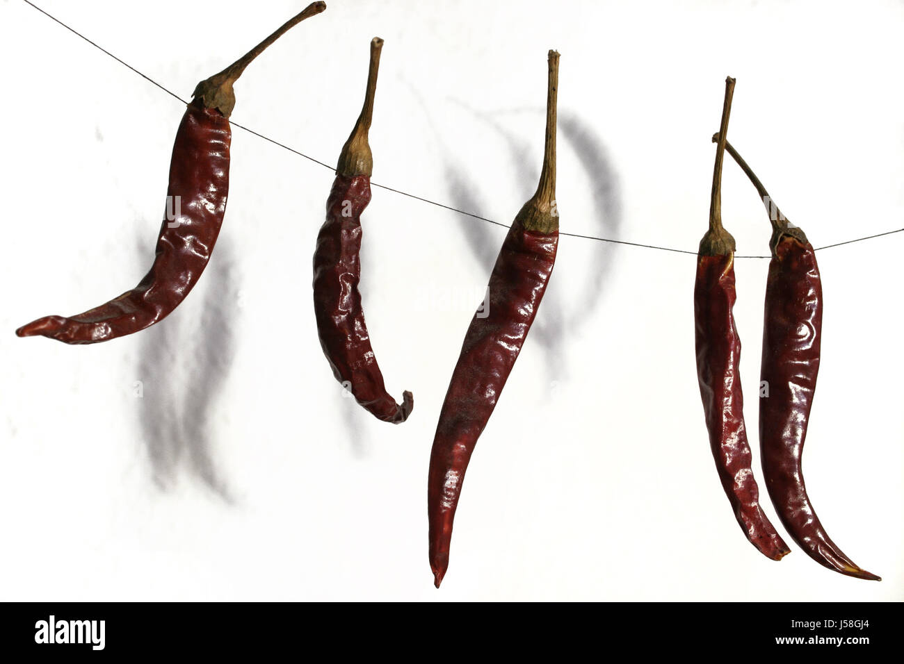 Sharp pod hi-res stock photography and images - Alamy