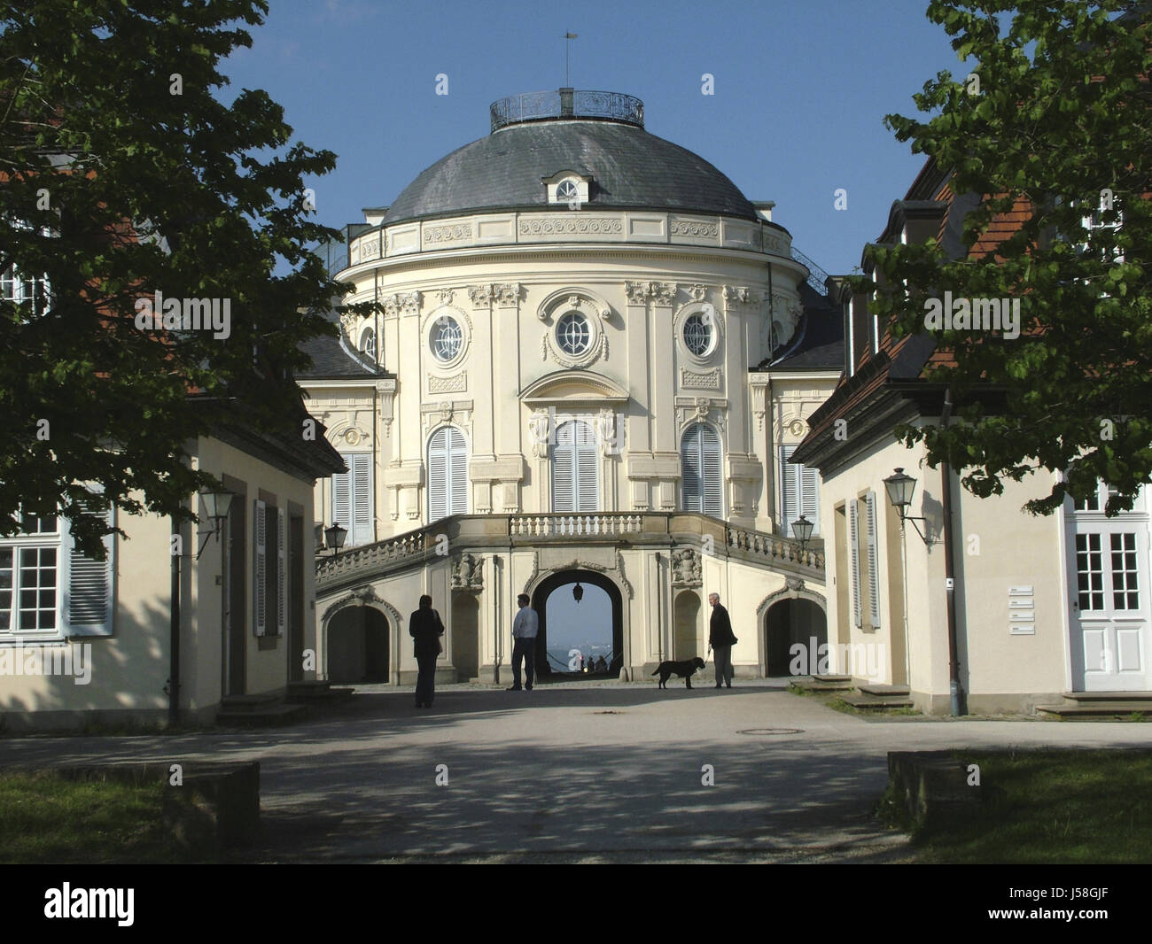 tree trees green window porthole dormer window pane stuttgart facade ...