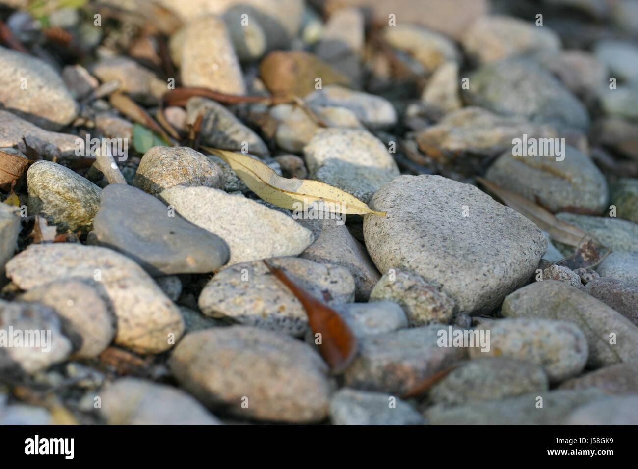 stone beach seaside the beach seashore loneliness one stony sole hand ...