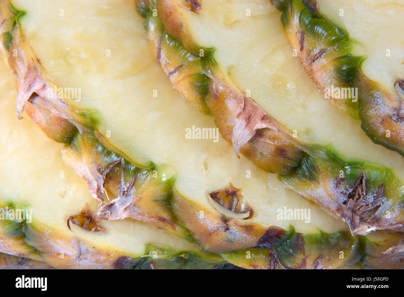 fruit tropical fruit pineapple discs shrub southern fruits structure ...