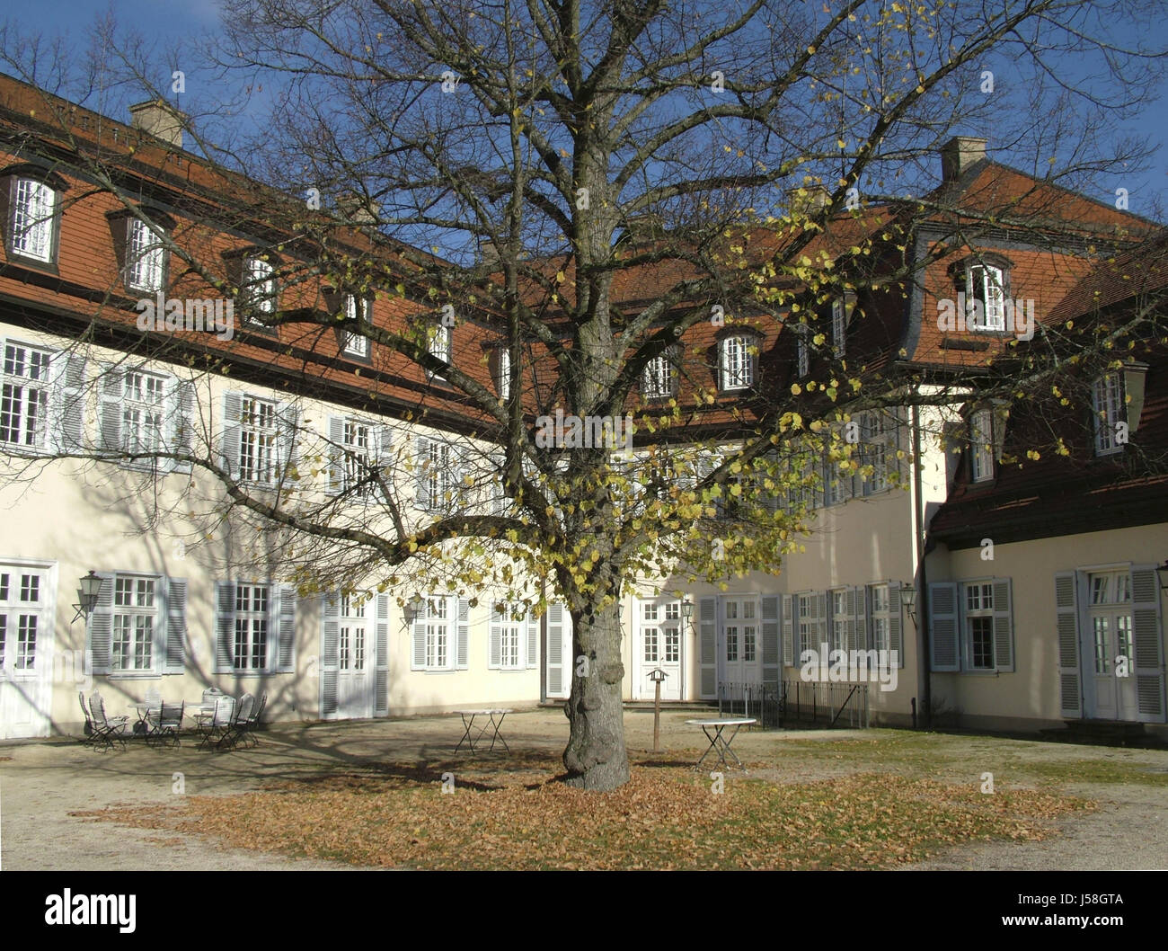 tree trees green window porthole dormer window pane stuttgart facade ...