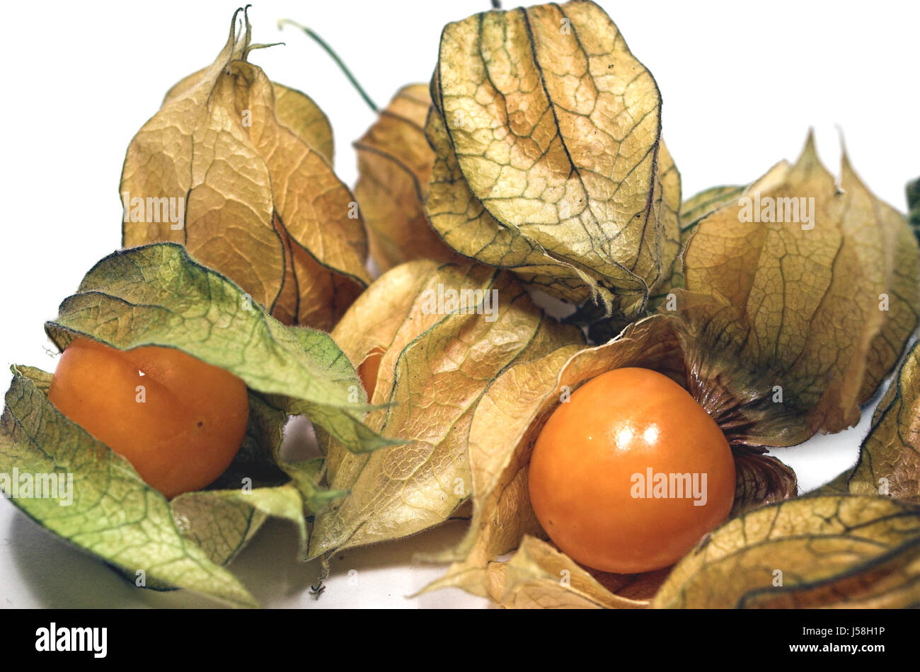 food aliment nibble fruit tropical fruit vitamin containing hand ...