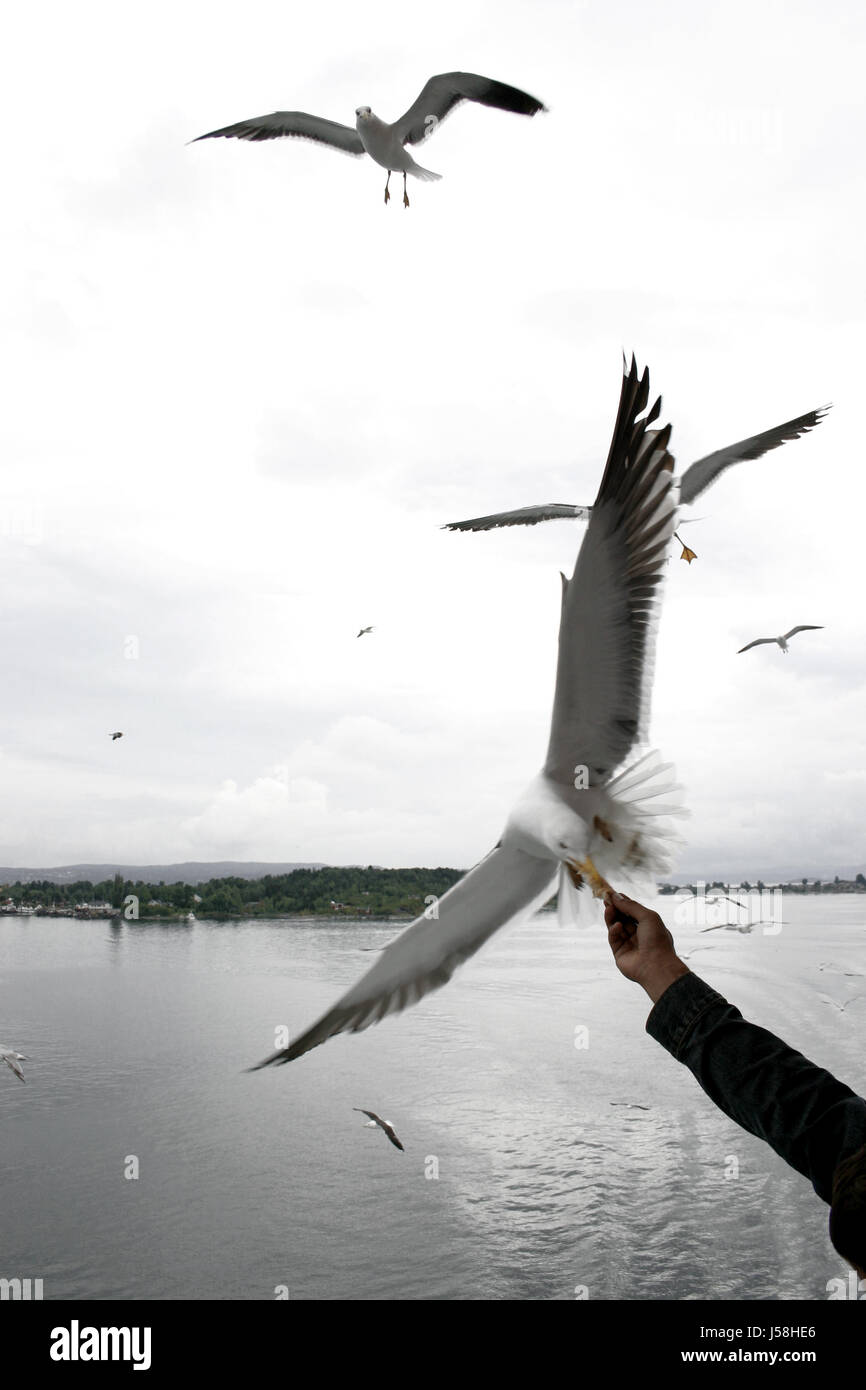 Greed ferry hi-res stock photography and images - Alamy