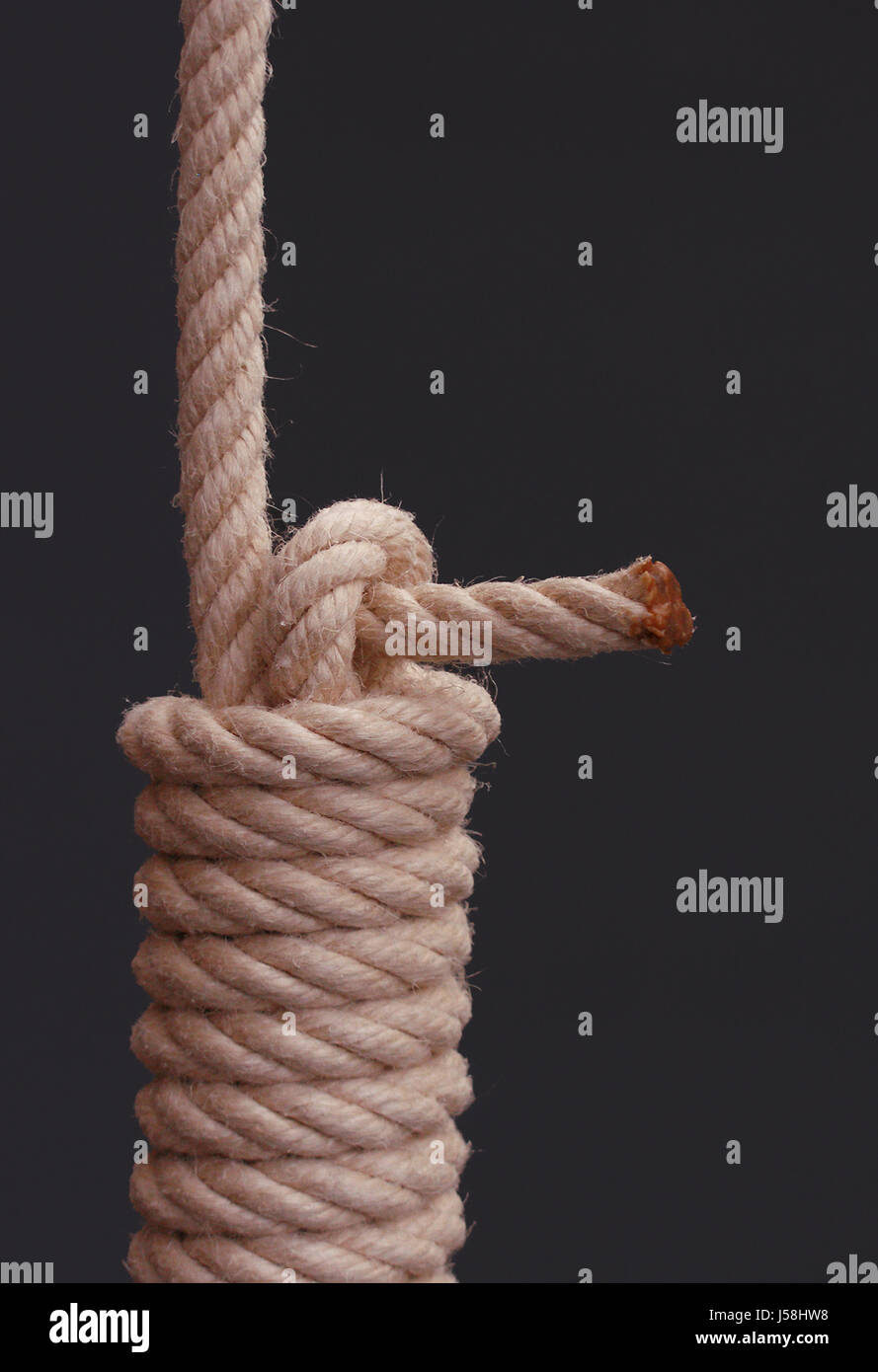 Hangmans knot hi-res stock photography and images - Alamy