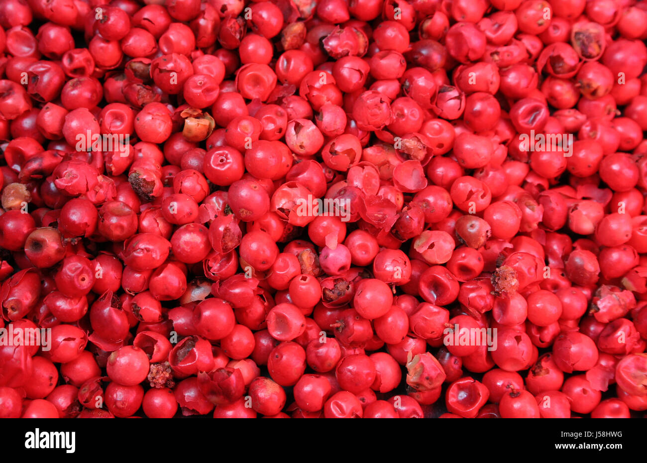 pepper spice kitchen cuisine boil cooks boiling cooking blood-red cook ...