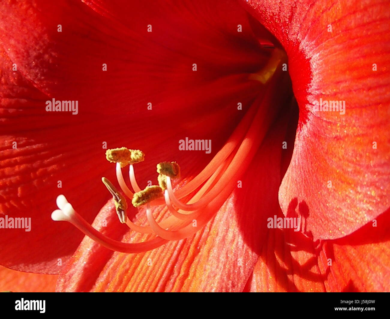 Maw hi-res stock photography and images - Alamy