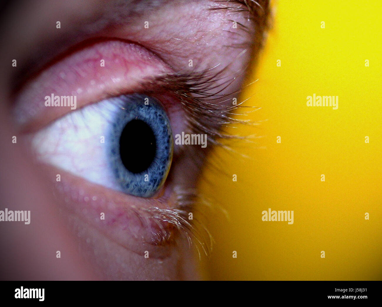 Human visual perception hi-res stock photography and images - Alamy
