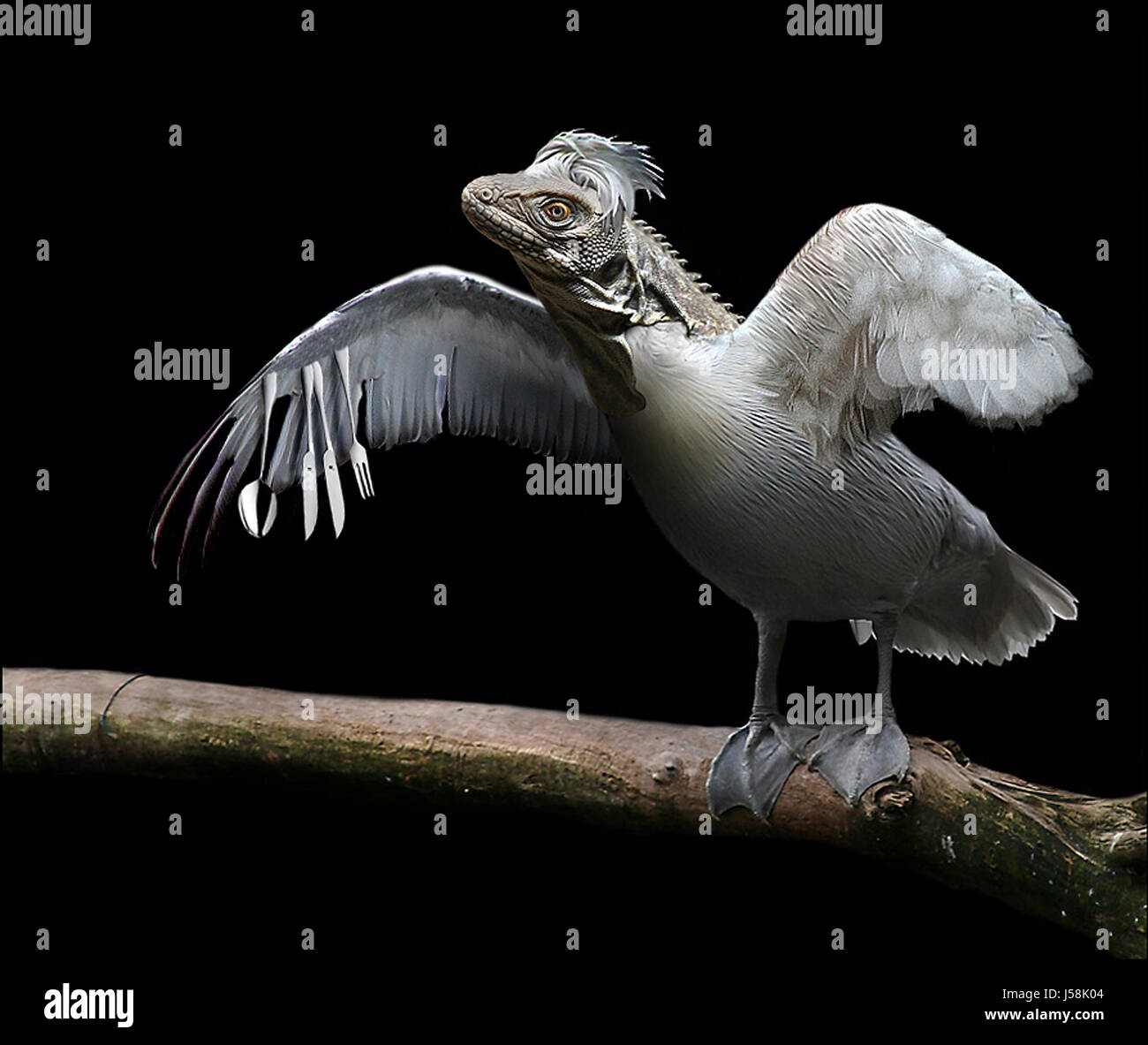 Pssssst hi-res stock photography and images - Alamy