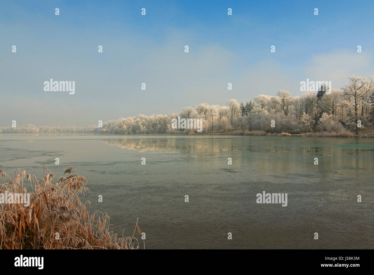 winter at the lake Stock Photo - Alamy