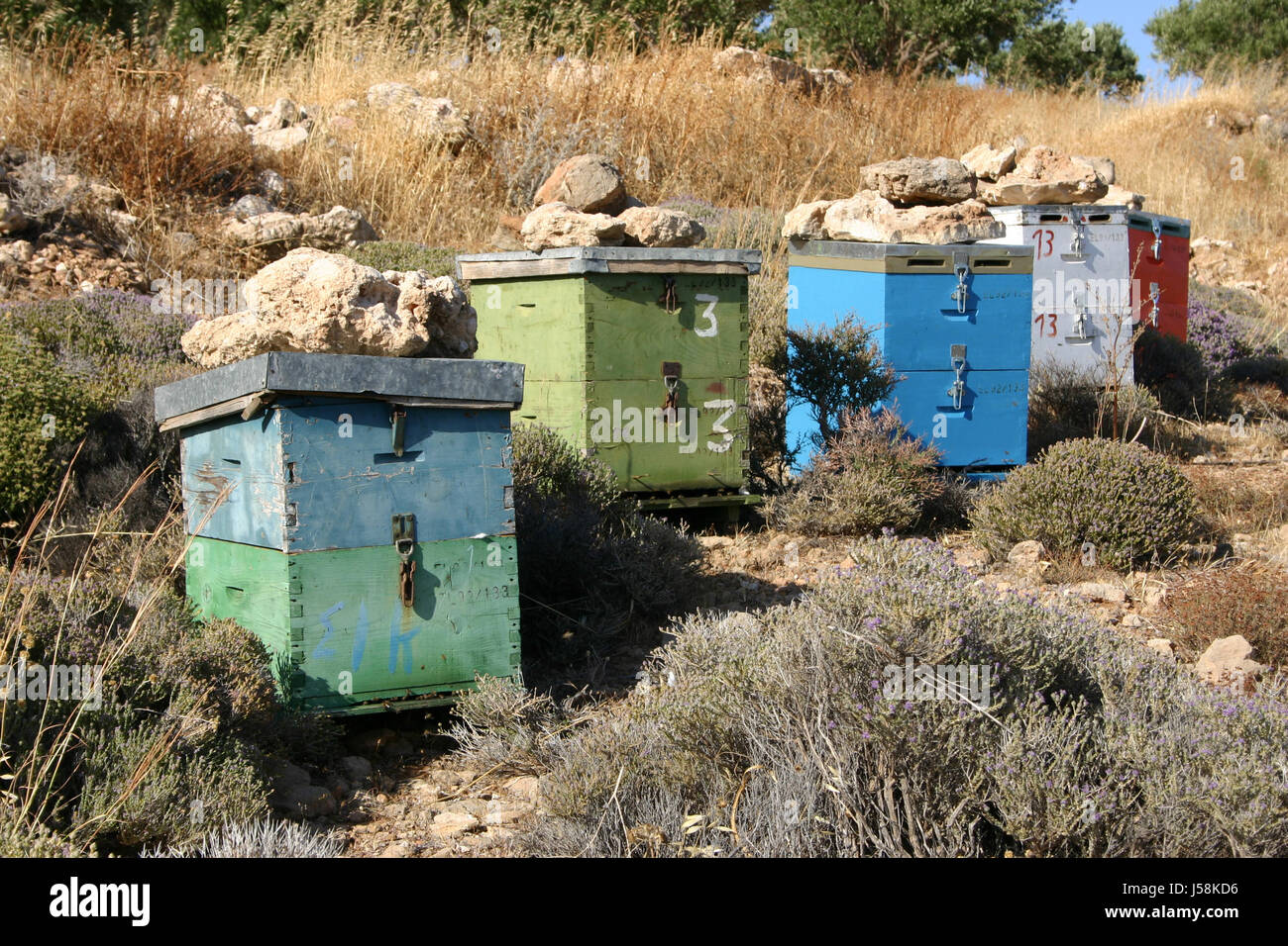 Crete honey beehive hi-res stock photography and images - Alamy