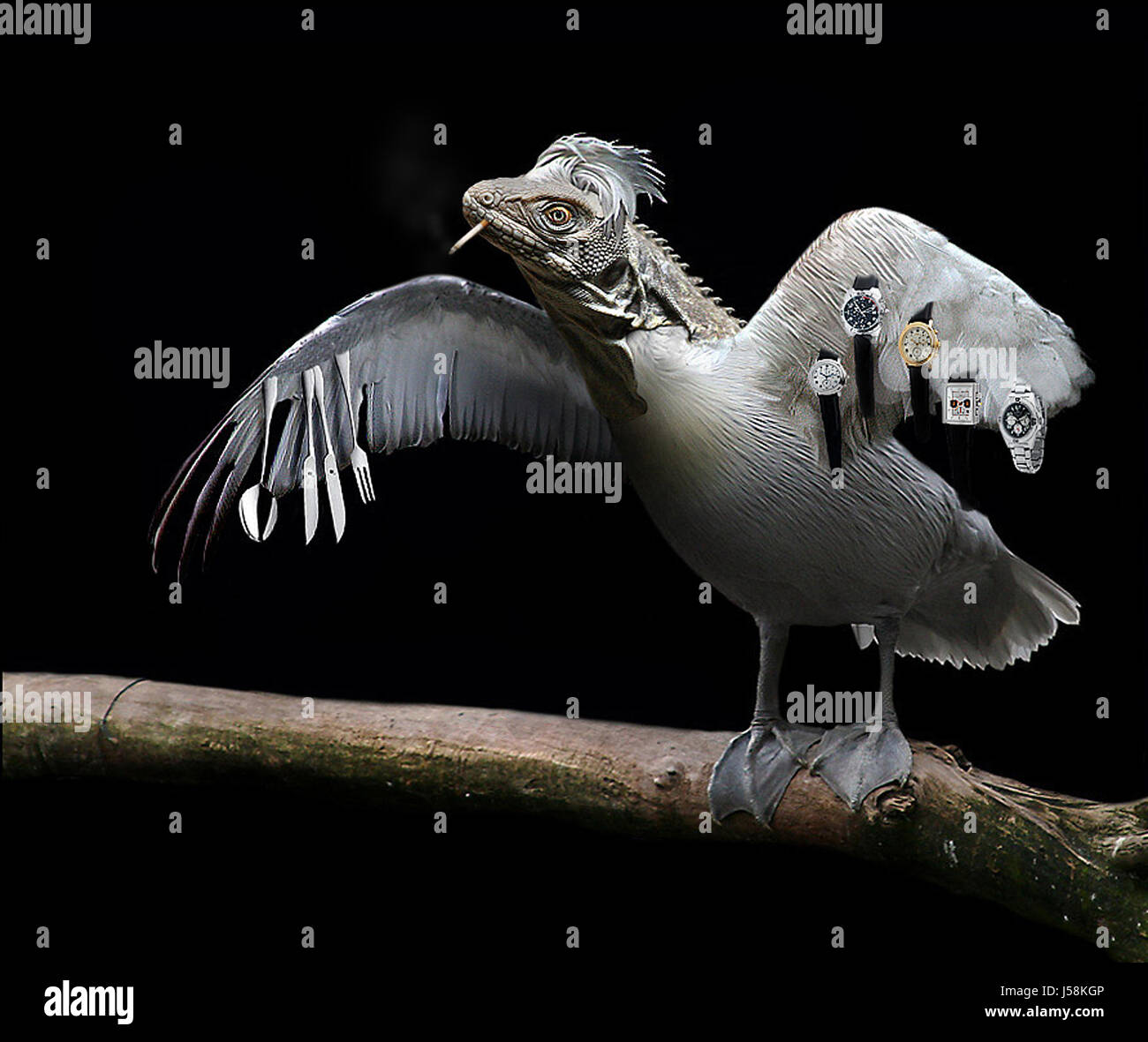 Animal dealer hi-res stock photography and images - Alamy