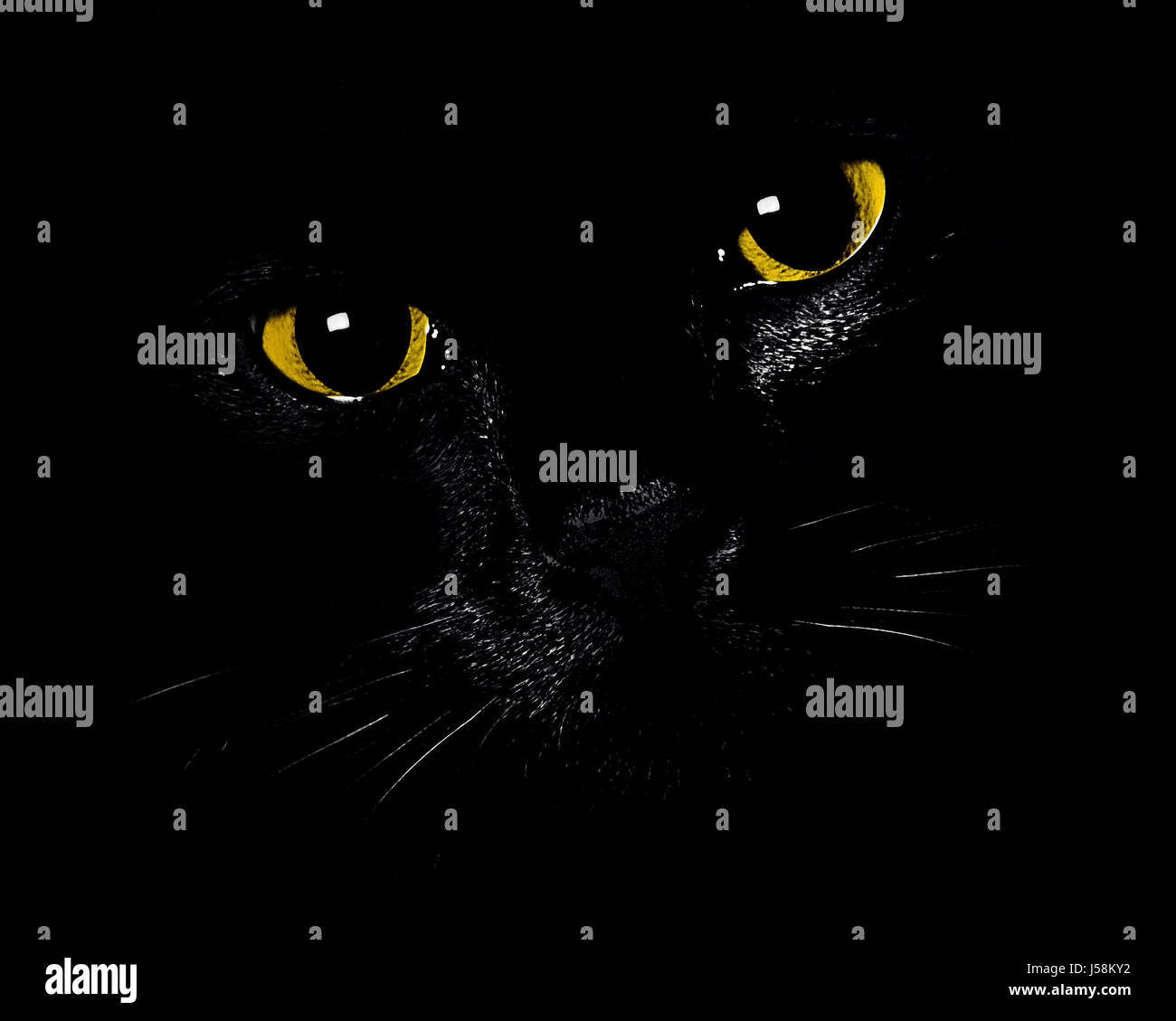 Devil nose hi-res stock photography and images - Alamy