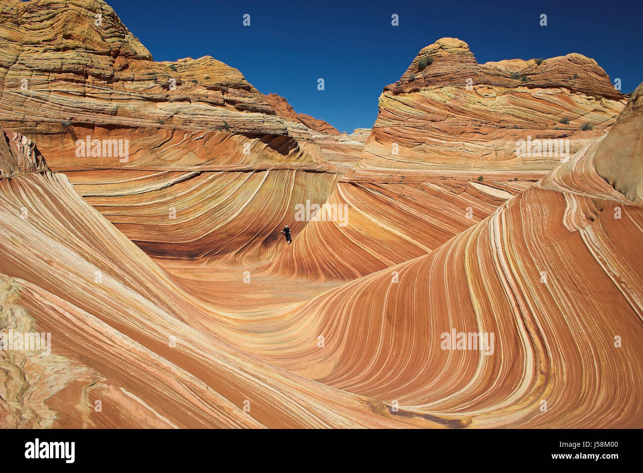 the wave iv Stock Photo - Alamy