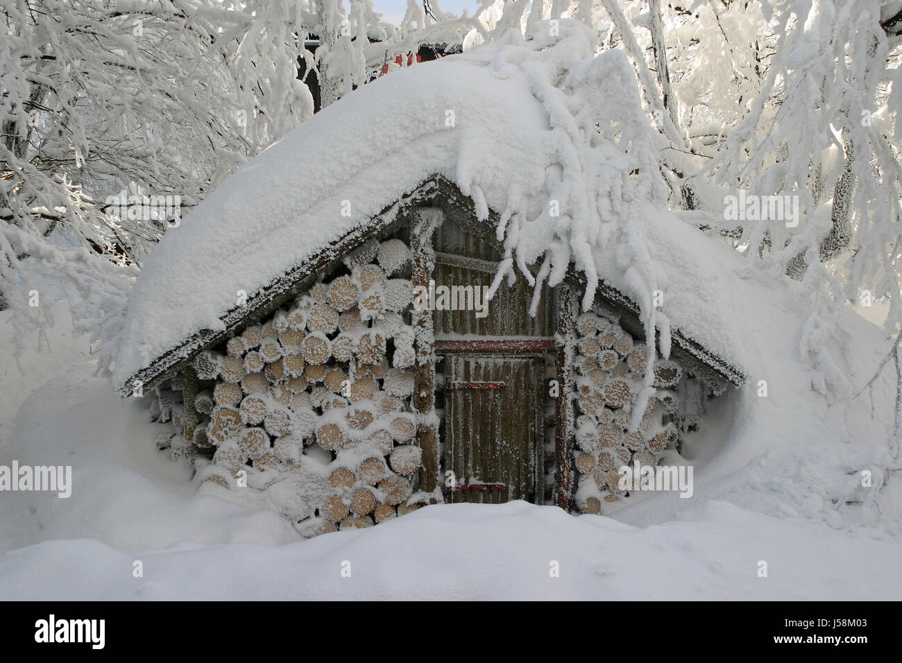 wood before httn Stock Photo - Alamy