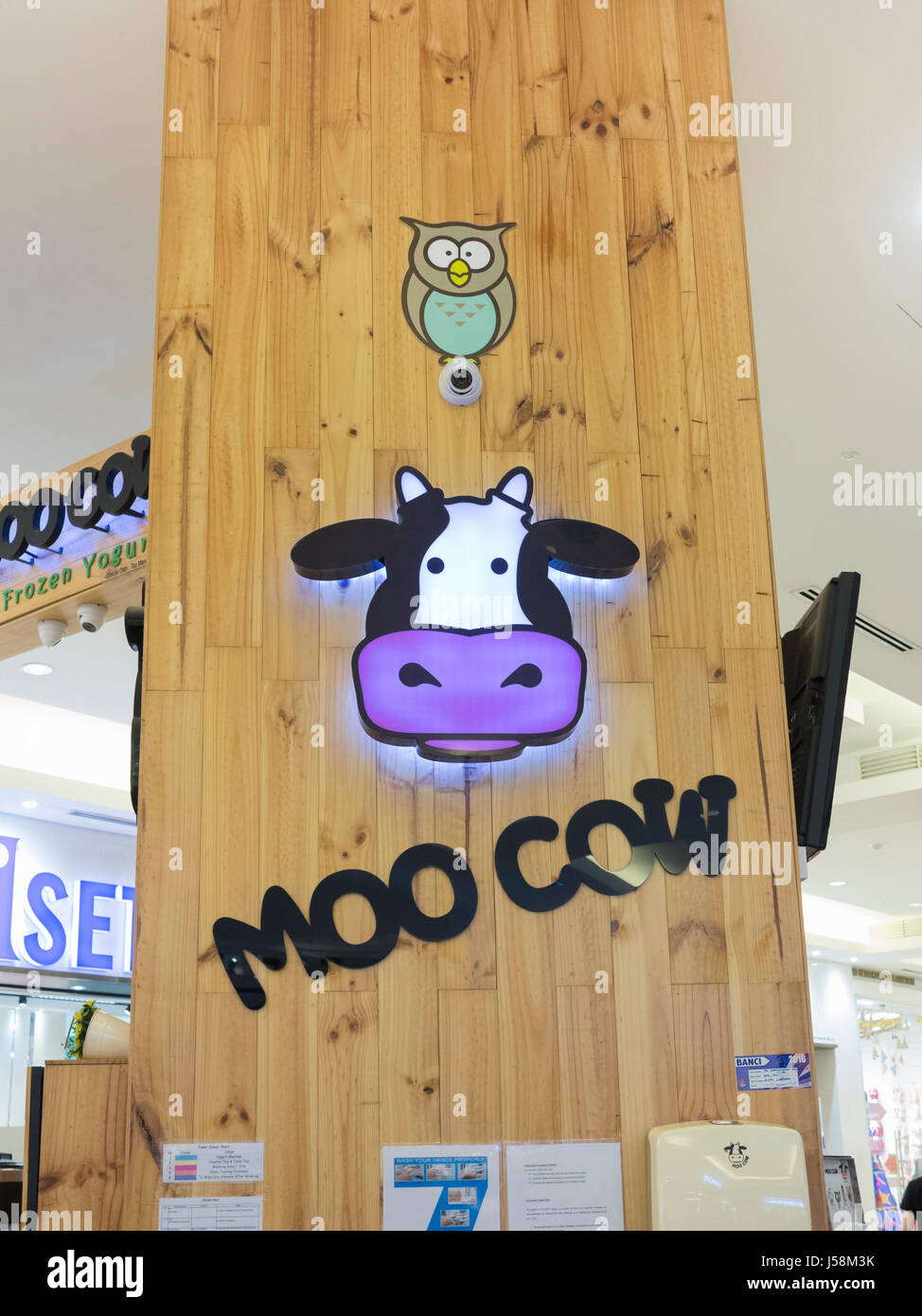 Cartoon Moo Moo Cows