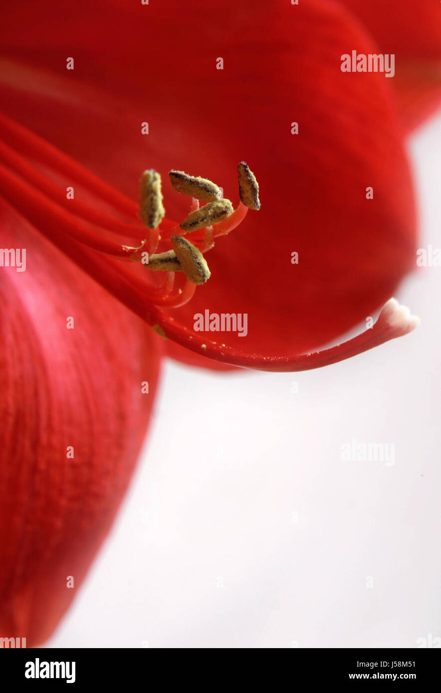 each his mark Stock Photo - Alamy