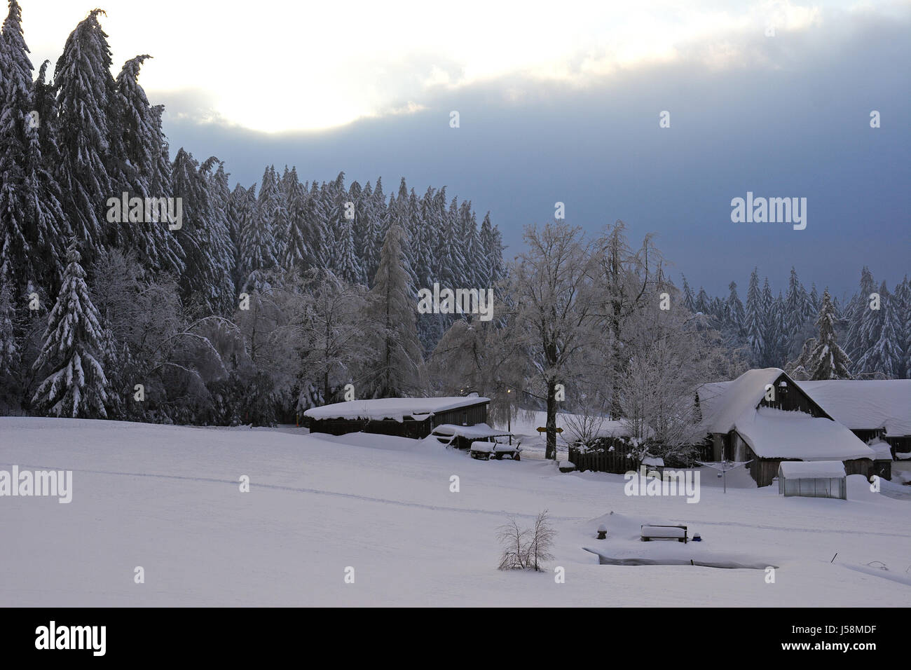 Ice snowed in hi-res stock photography and images - Alamy