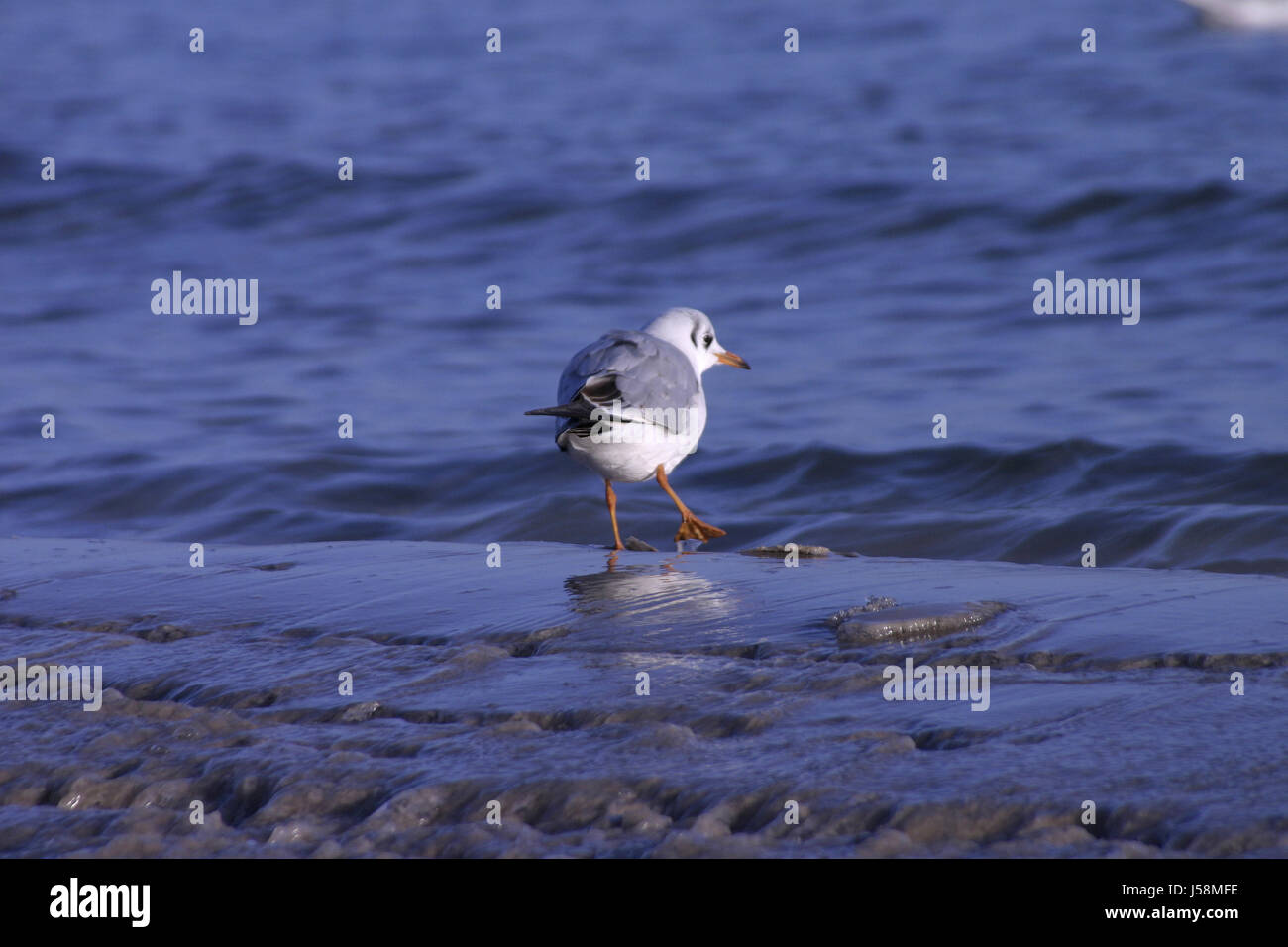 air -4c ... water 2c Stock Photo - Alamy
